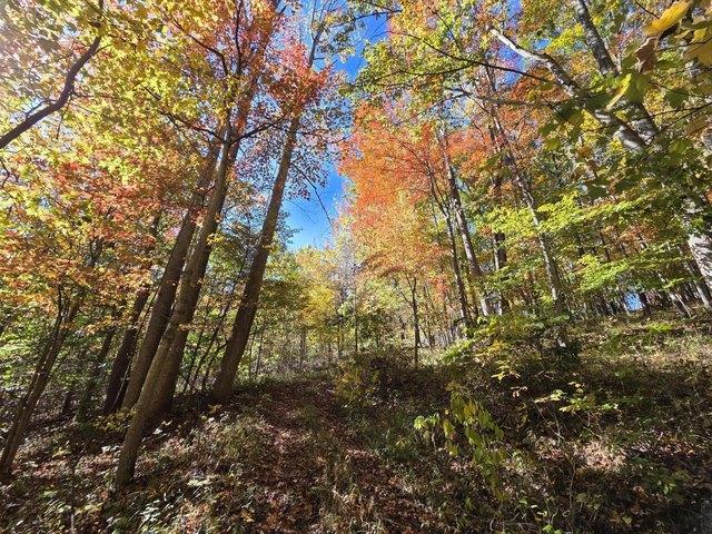 Iris Ln, Peterstown, WV 24963