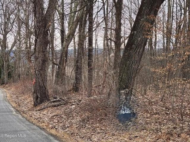 Irish Cape Rd, Ellenville, NY 12428