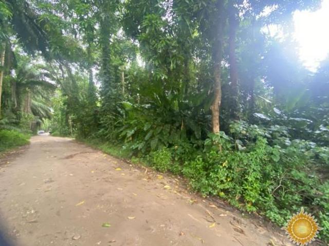 Itamambuca: Terreno de 500 m² com licenciamento ambiental !
