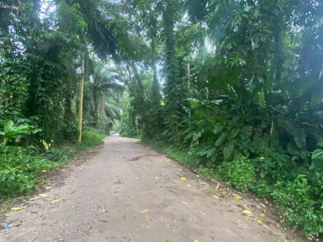 Itamambuca: Terreno de 500 m² com licenciamento ambiental
