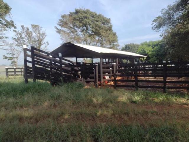 Itapetininga sitio 12 alqueires Formado em pasto Curral Barracao Balança e brete Casa de caseiro