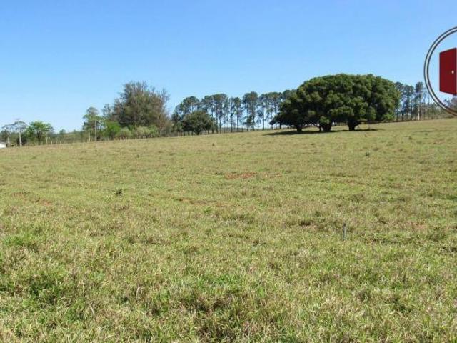 Itu lindo Sitio bem localizado com 20 alqueires