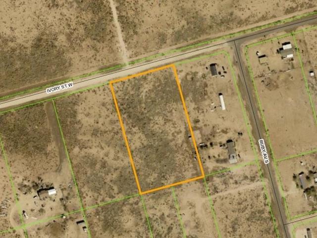 Ivory St, Odessa, TX 79766