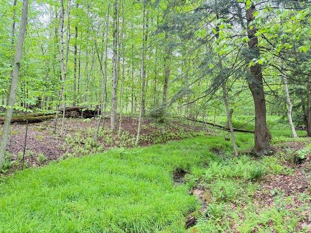 Ivarea Rd, Albion, PA 16401