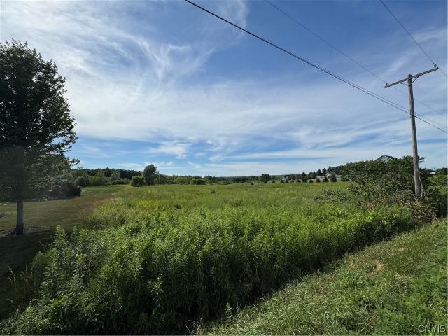 Ives Road