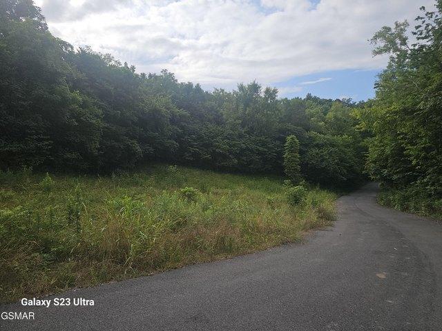 Ivy Way, Newport, TN 37821