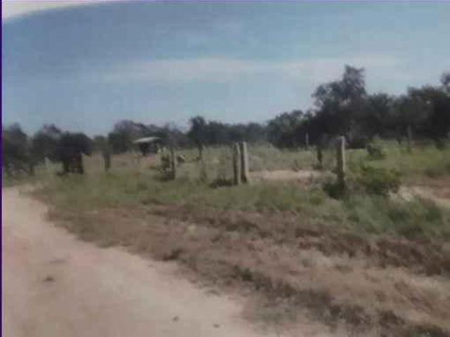 J4010 FAZENDA VISTA ALEGRE – COCALINHO/MT