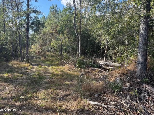 J Bailey Road, Wiggins, MS 39577