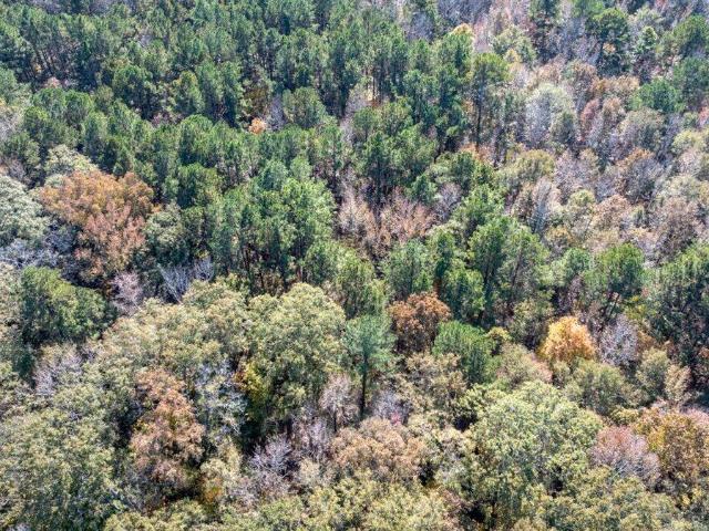 J C Prestage Road, Pelahatchie, MS 39145