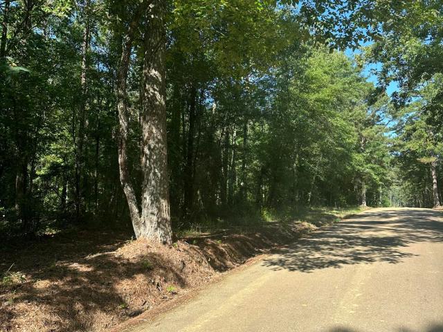 J C Prestage Road, Pelahatchie, MS 39145