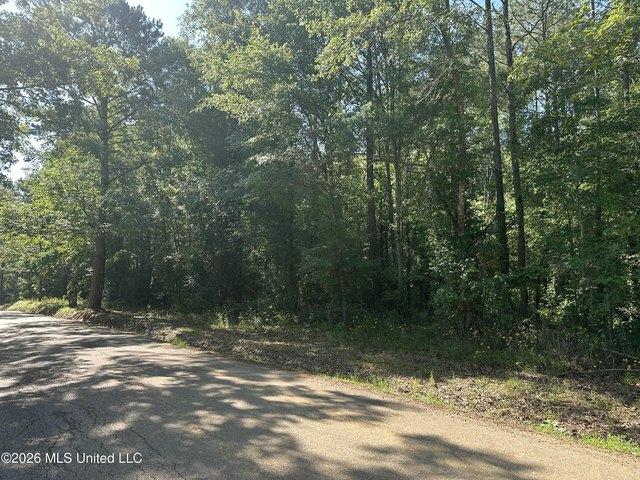 J C Prestage Rd, Pelahatchie, MS 39145