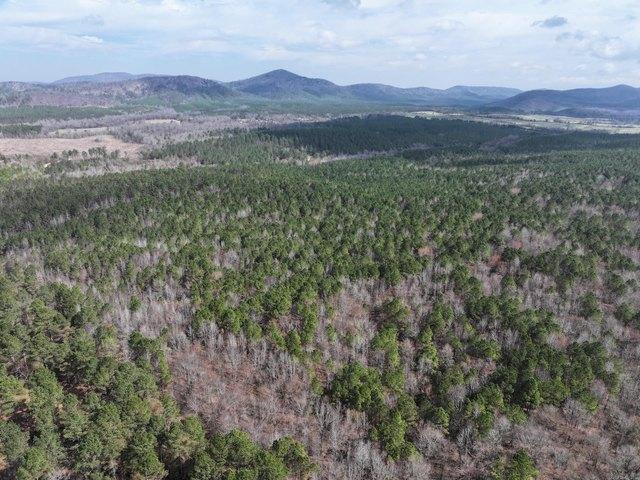 J Dunson Rd, Langley, AR 71952