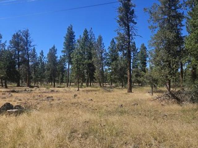 J F Goeller Way Lot 13, Keno, OR 97627