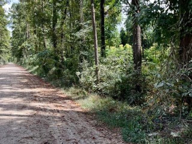 J H Jenkins Ln, Denham Springs, LA 70706