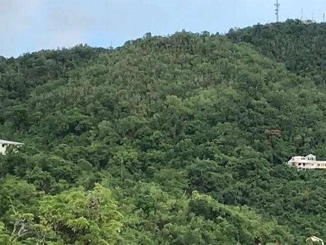 J Little La Grange, Saint Croix, Plot For Sale