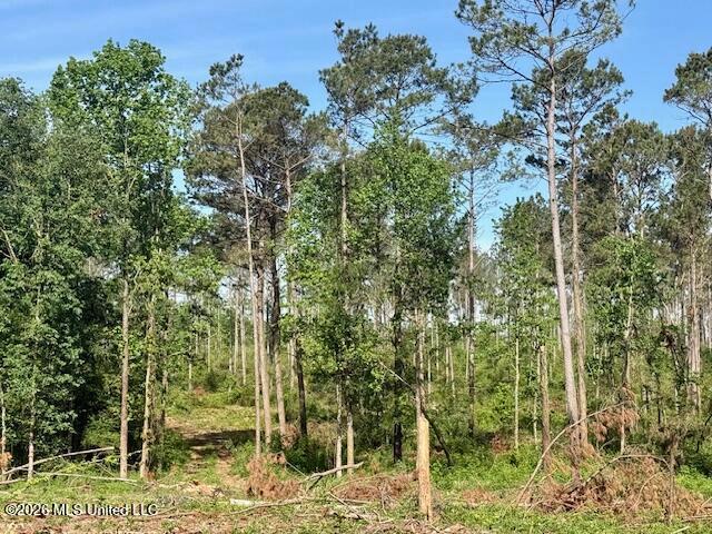 J W Miller Road, Jayess, MS 39641