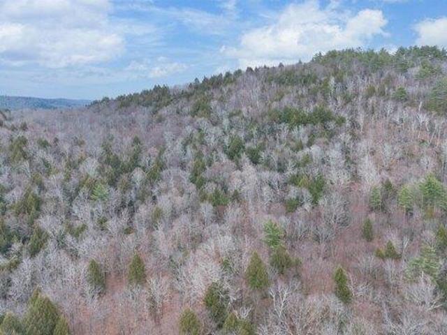 Jamaica VT 05343 103884986