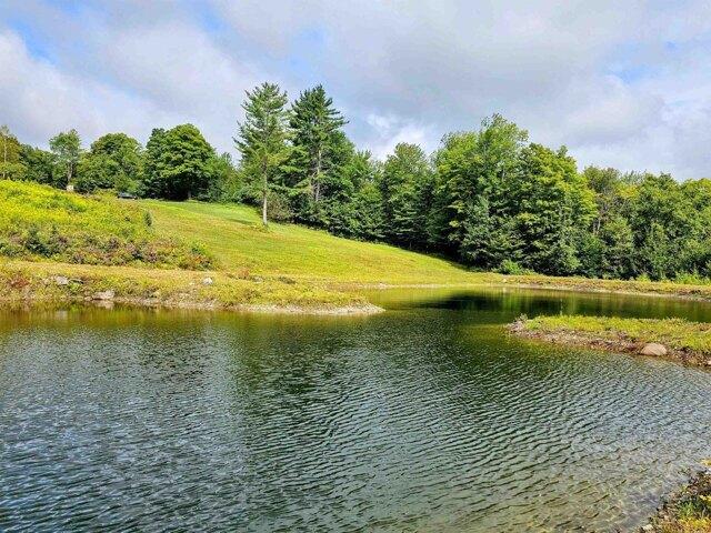 Jamaica VT 05343 104077388