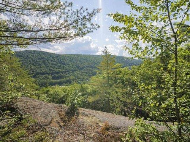 Jamaica VT 05343 105160639