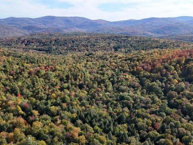 Jamaica VT 05343 105175223