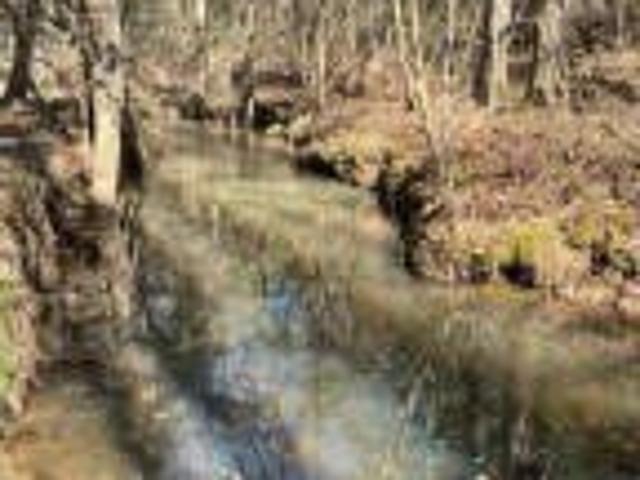 James Ratcliff Rd, Tylertown, MS 39667