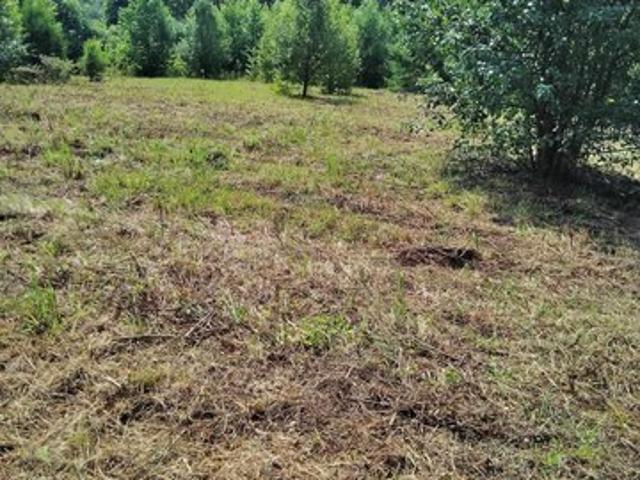 Jameson Rd, Easley, SC 29640