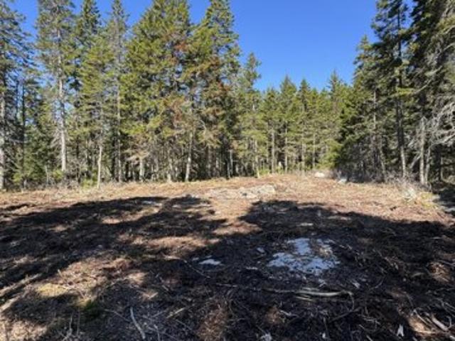 Jamestown Rd, Vinalhaven, Plot For Sale