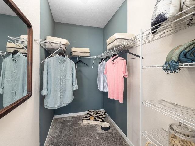 Jamison at Brier Creek 2 Bedroom Apartment for Rent at 9920 Jamison Valley Dr, Raleigh, NC 27617