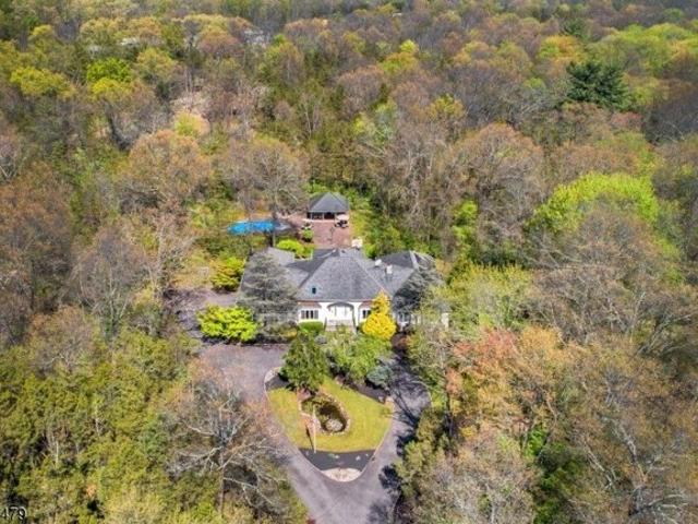 Janelle Ct, Bedminster Twp, Home For Sale