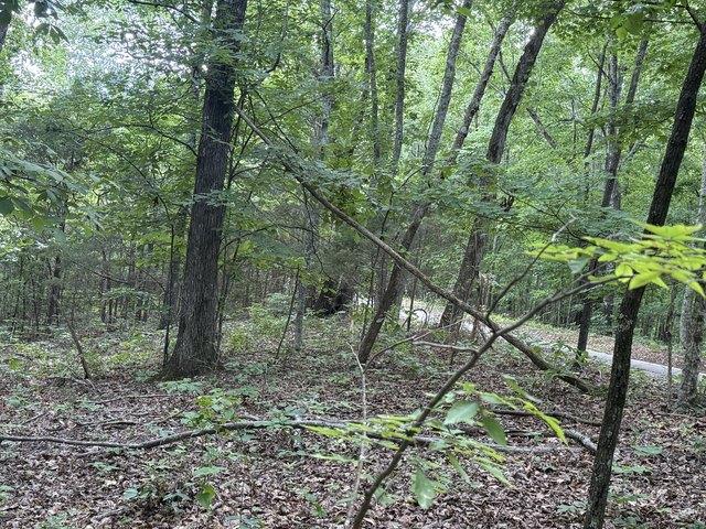 Jack Holt Rd, Prospect, TN 38477