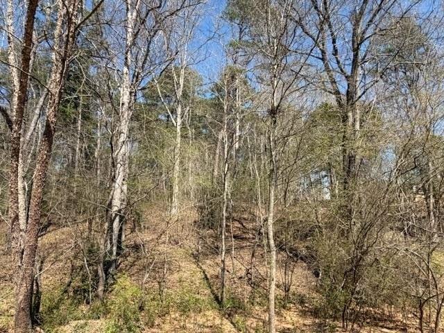Jack Pittman Rd Lot 0, Dacula, GA 30019