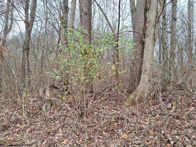 Jack Run Rd, Bridgeport, WV 26330