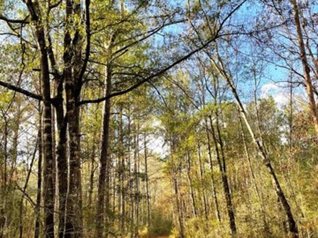 Jack Springs Rd, Perdido, AL 36562