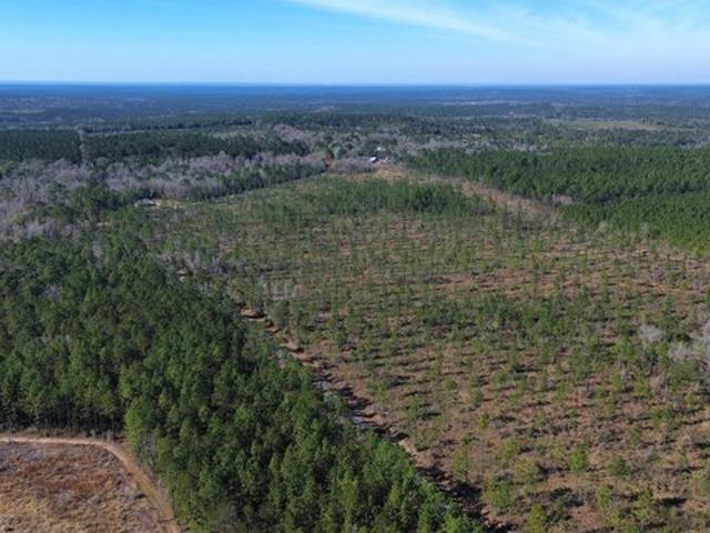 Jack Springs Rd, Perdido, AL 36562