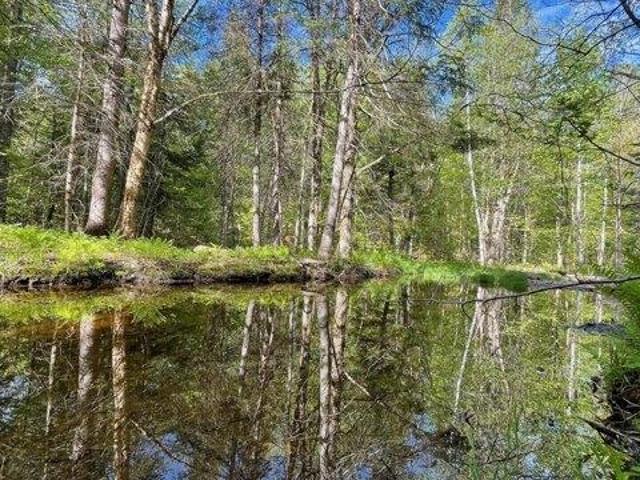 Jackman ME 04945 105161011