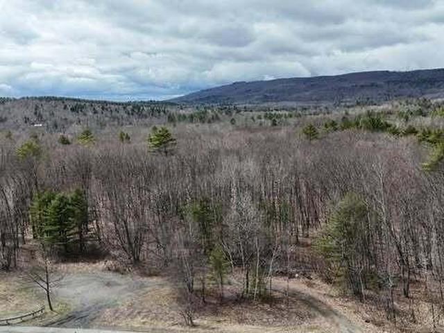 Route 201 Lots 1 & 2, Bingham, ME 04920