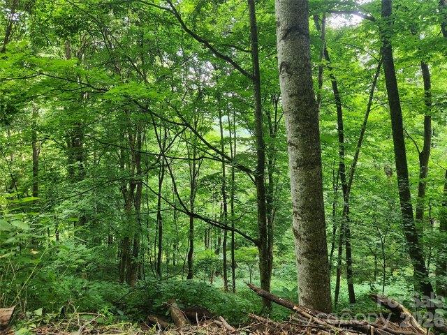 Jacks Knob Rd, Weaverville, NC 28787