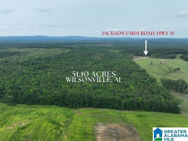 Jackson Farm Rd Lot 2, Wilsonville, AL 35186