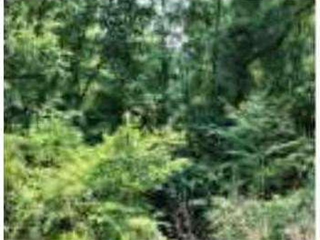 Jackson, GA Butts Country Land 35.0000 acre for sale in Jackson, Georgia