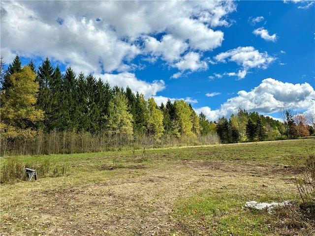 Jackson Hill Rd, Meredith, NY 13846