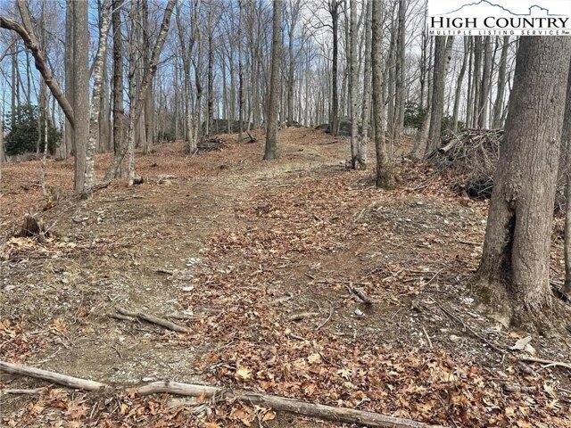 Jackson Ridge Rd, Boone, Plot For Sale