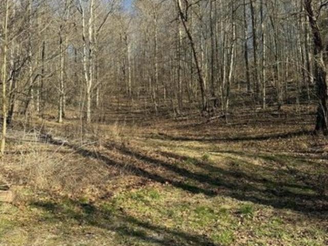 Jackson Ridge Rd, Tazewell, TN 37879