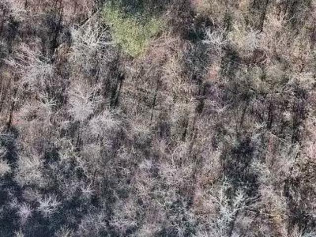 Jackson Trail Rd