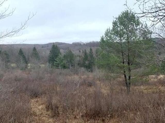 Jackson Valley Rd, Little Meadows, PA 18830