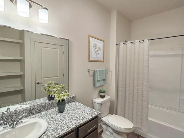 Jackson Walk III Apartments 1 Bedroom Apartment for Rent at 102 Jackson Walk Plz, Jackson, TN 38301