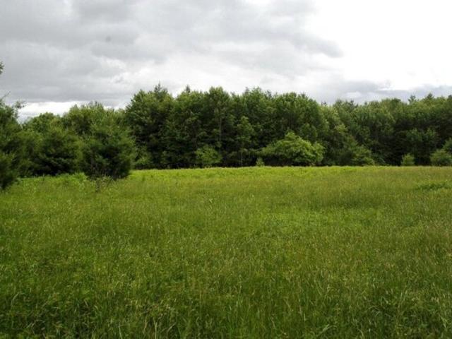 Jacob Ln, Starks, Home For Sale