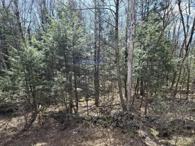 Jacobs Ladder Rd, Becket, Plot For Sale