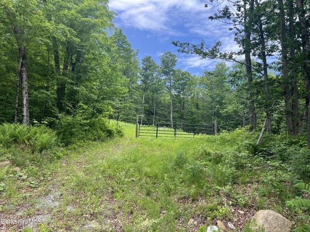 Jacobs Ladder Rd Lot,becket, Plot For Sale