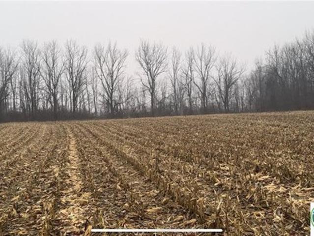 Jade Ln, East Allen Township, PA 18017