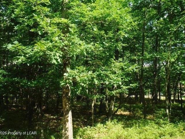 Jae Kickapoo Dr Lot 132, Hazle Township, PA 18202